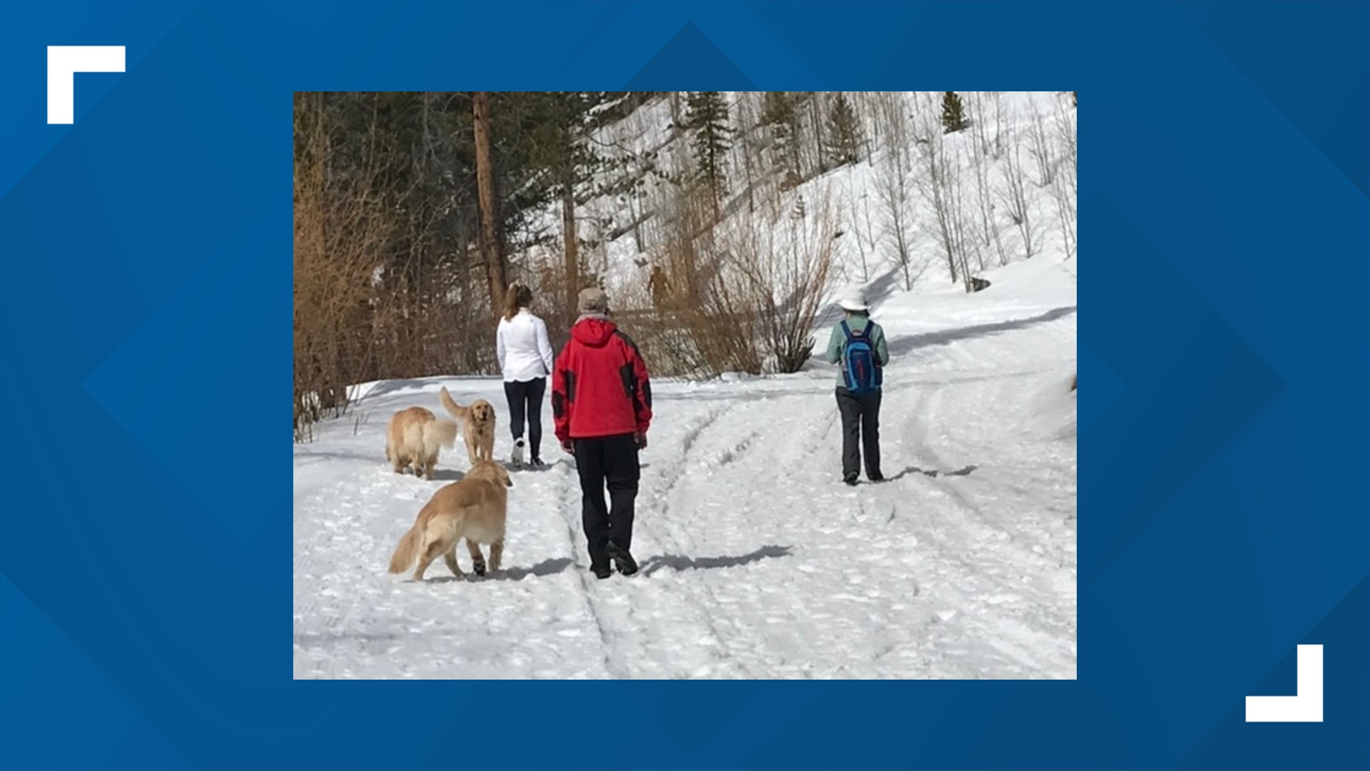 How people are coping with social distancing, quarantine | 9news.com