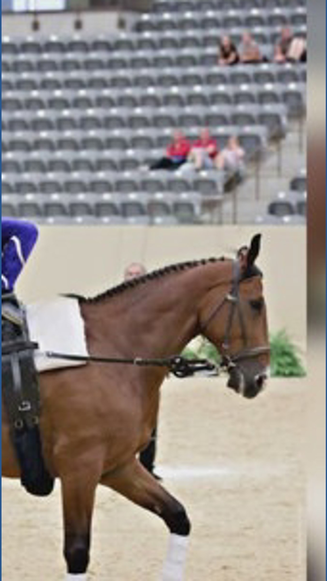 Equestrian vaulting competition gallops into Castle Rock | 9news.com