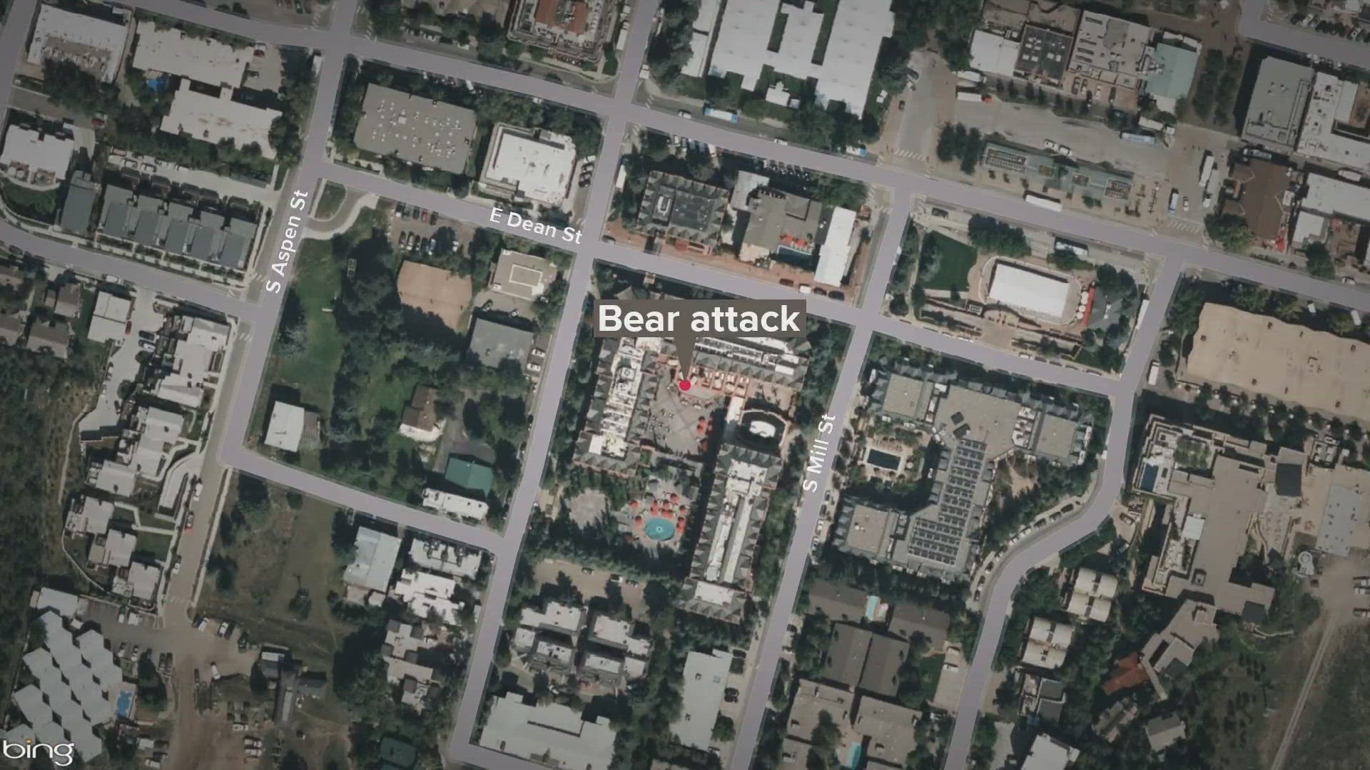 Aspen hotel security guard attacked by bear | 9news.com