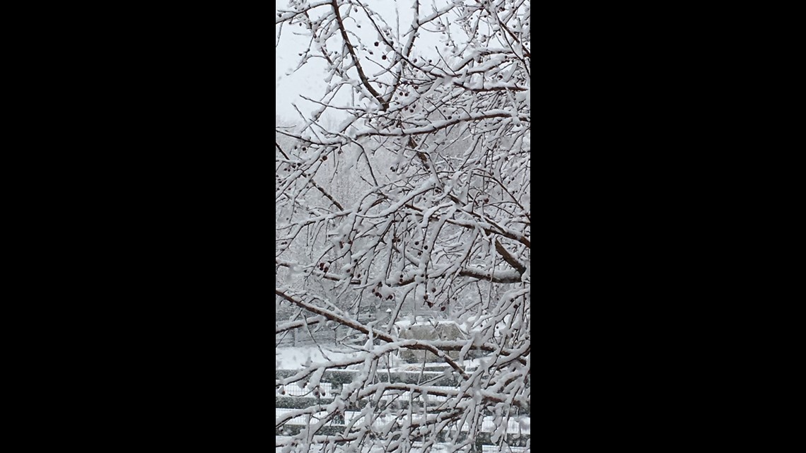 Bomb Cyclone: Colorado's 2019 weather event was the strongest ever ...