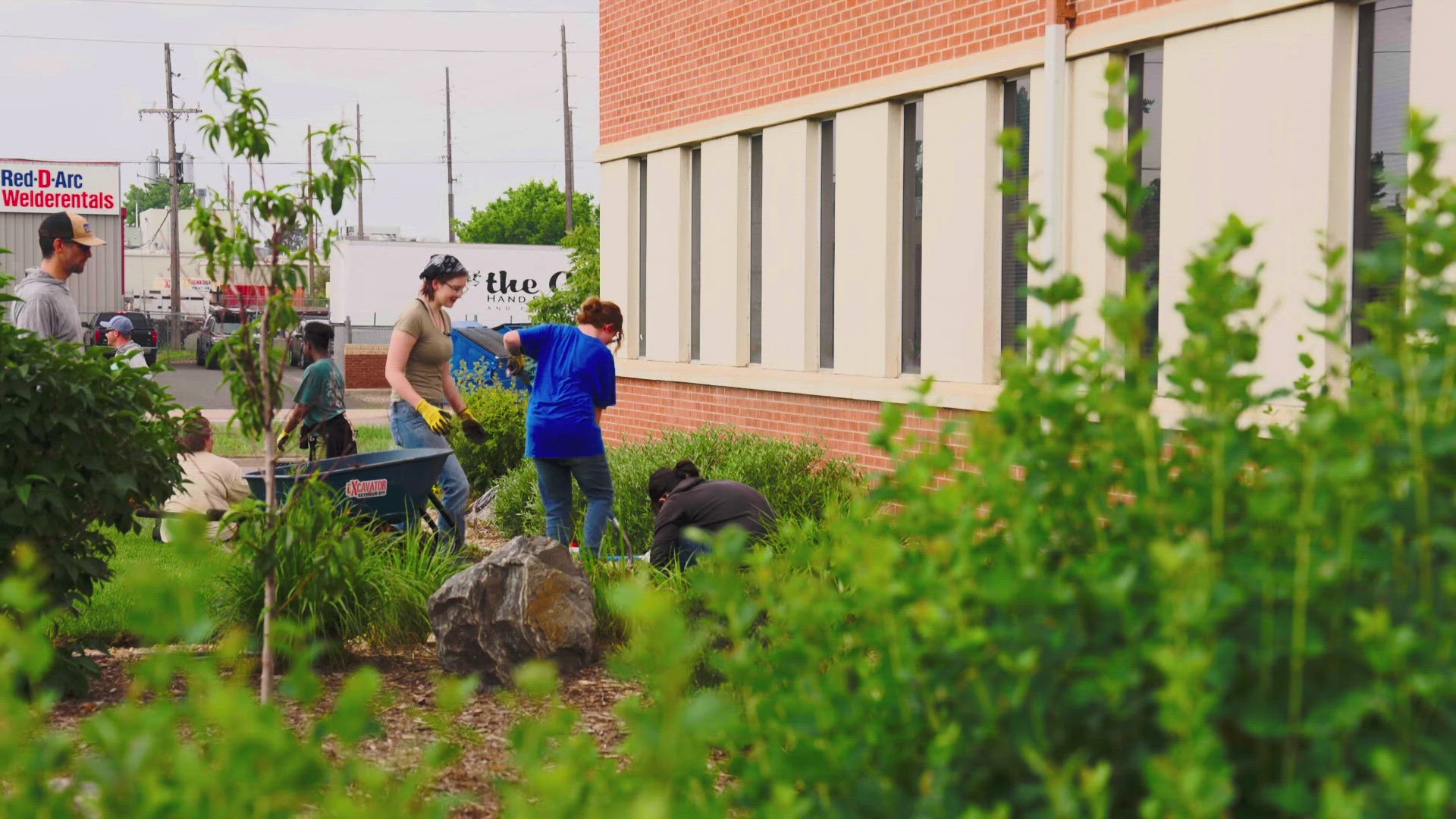 Students transform DSST: Elevate Northeast HS lawn into water-wise ...