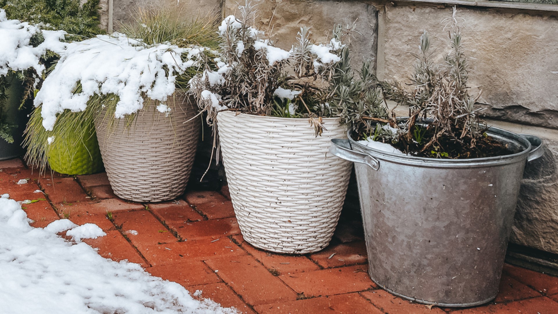 How you can protect your patio flower, vegetable pots this winter ...