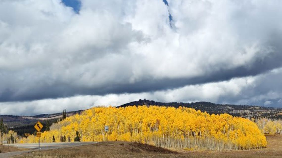Colorado fall colors guide: When and where leaves peak in 2023 | 9news.com