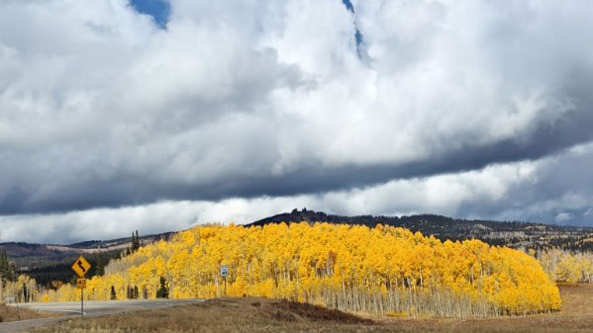 Colorado fall colors guide: When and where leaves peak in 2023 | 9news.com