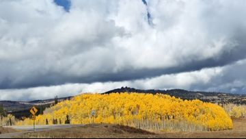 Fall leaves in Colorado: Guide to changing colors in 2024 | 9news.com