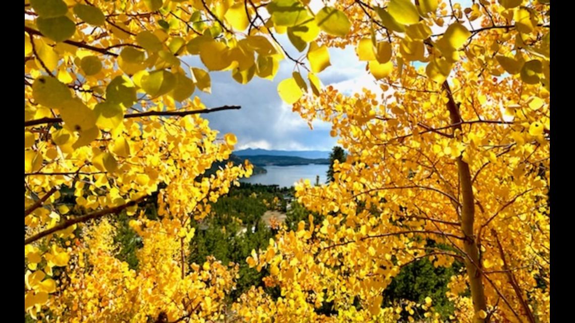 Fall leaves in Colorado: Guide to changing colors in 2024 | 9news.com