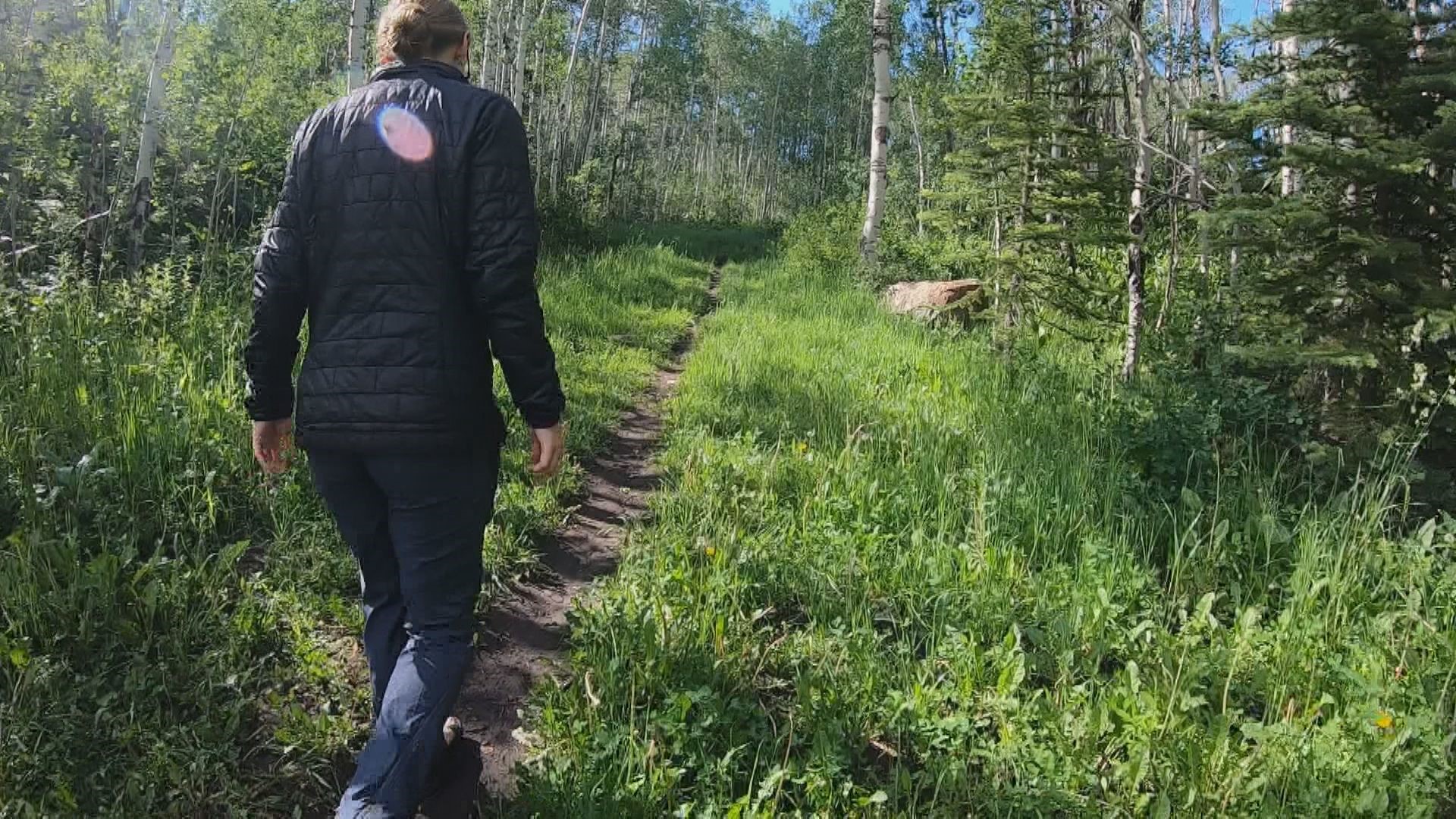 More people are enjoying forest bathing in Colorado (but it might not ...