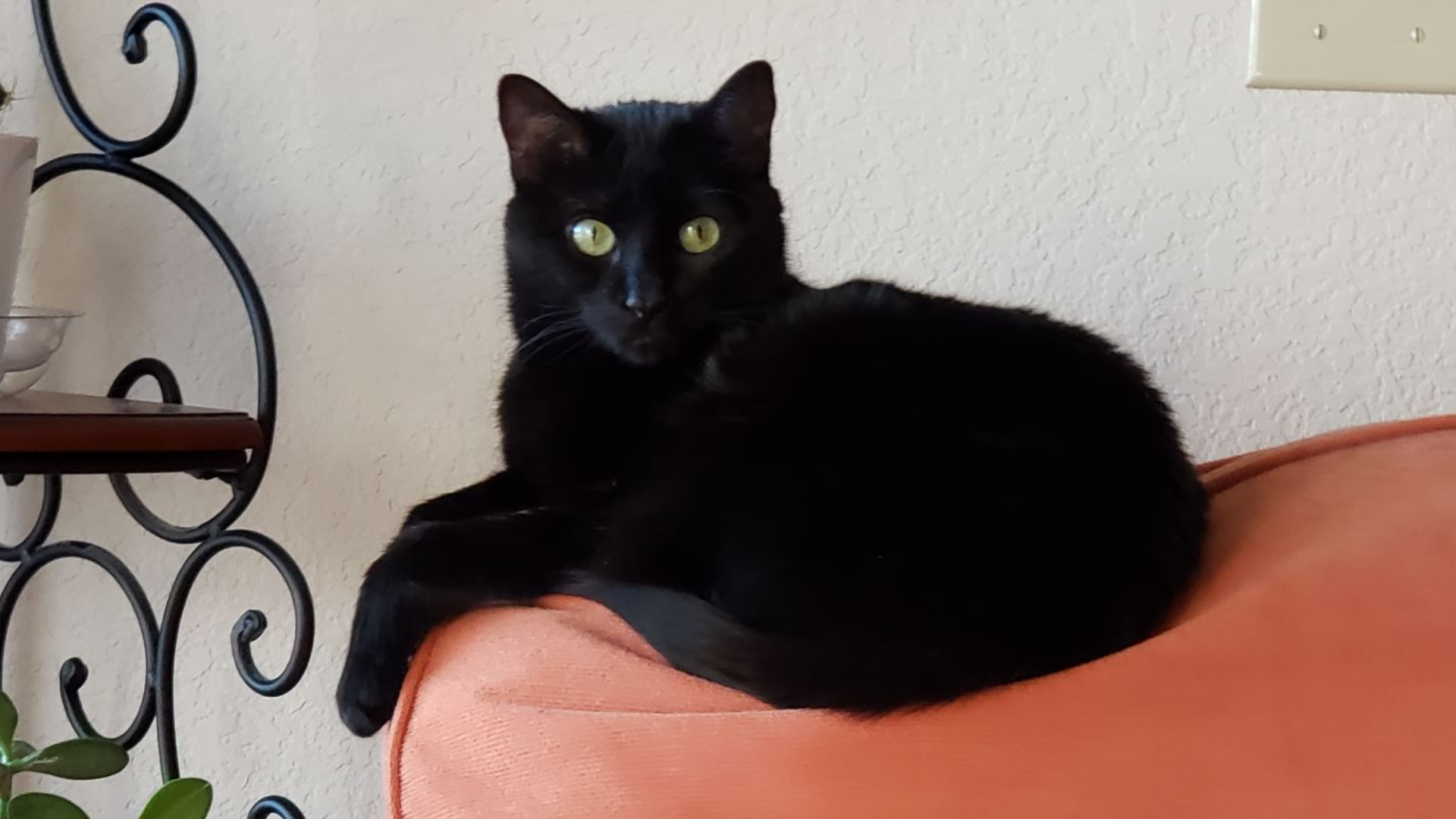 Former Broncos QB Jay Cutler wife Kristin Cavallari divorced | 9news.com