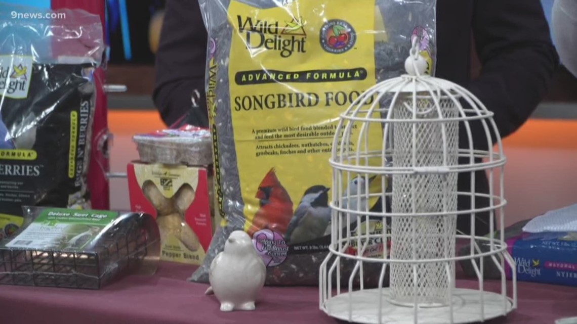 Proctor's Garden: Assisting backyard birds through the winter | 9news.com