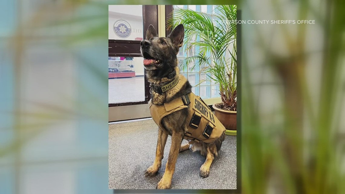 Local animal hospital donates vests to JCSO K9 officers | 9news.com