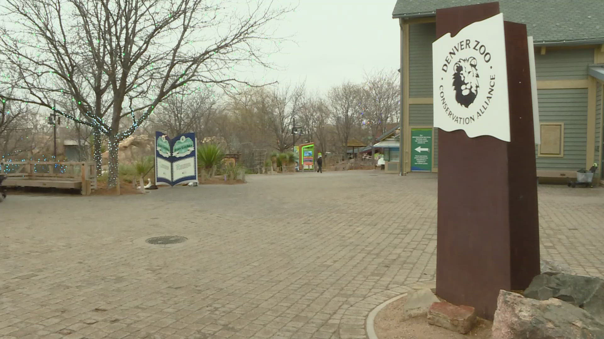 ‘Grey’s Anatomy’ actor Steven W. Bailey reveals rare genetic disorder ...