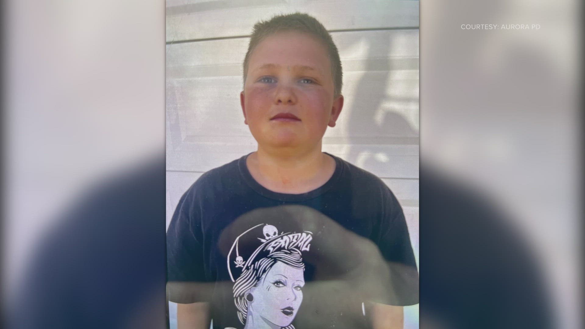 Proctor's Tips: Best bushes for birds | 9news.com