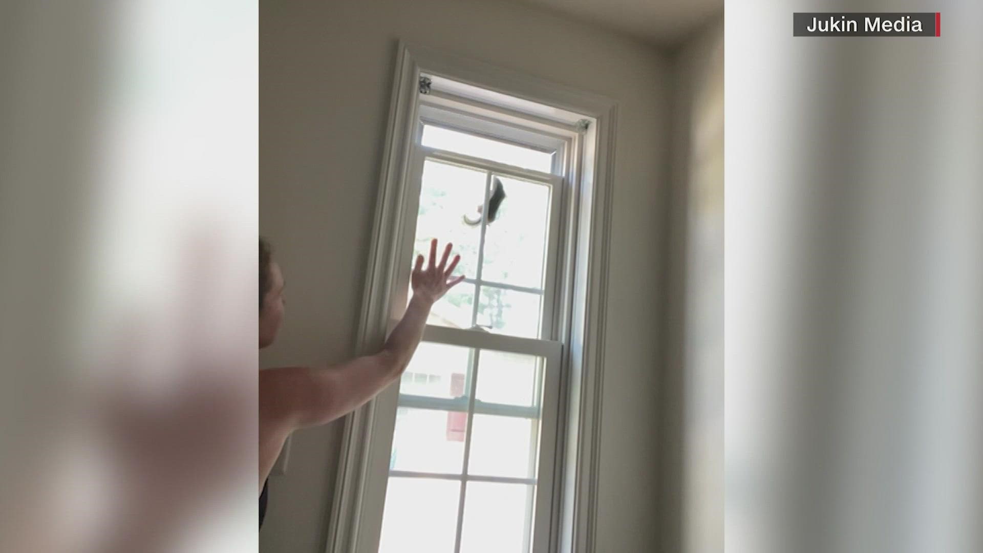 Chipmunk rescue goes viral | 9news.com