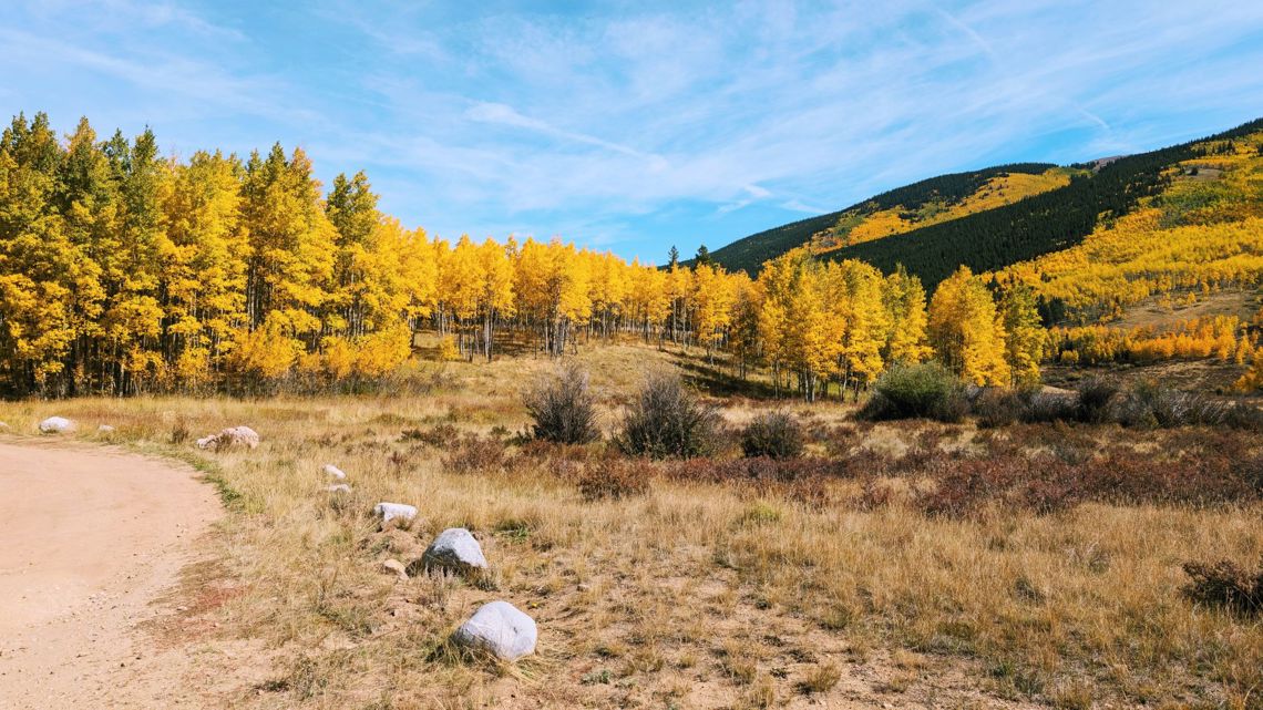Peak fall color in Colorado: Where to see yellow leaves | 9news.com