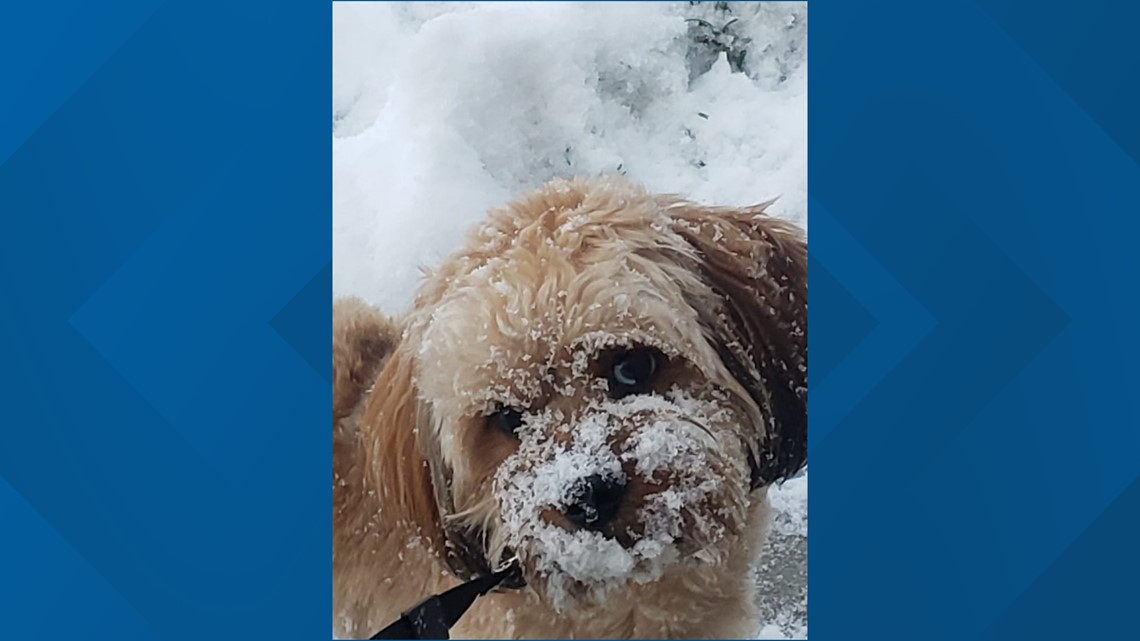 Snow moves out of Colorado | 9news.com