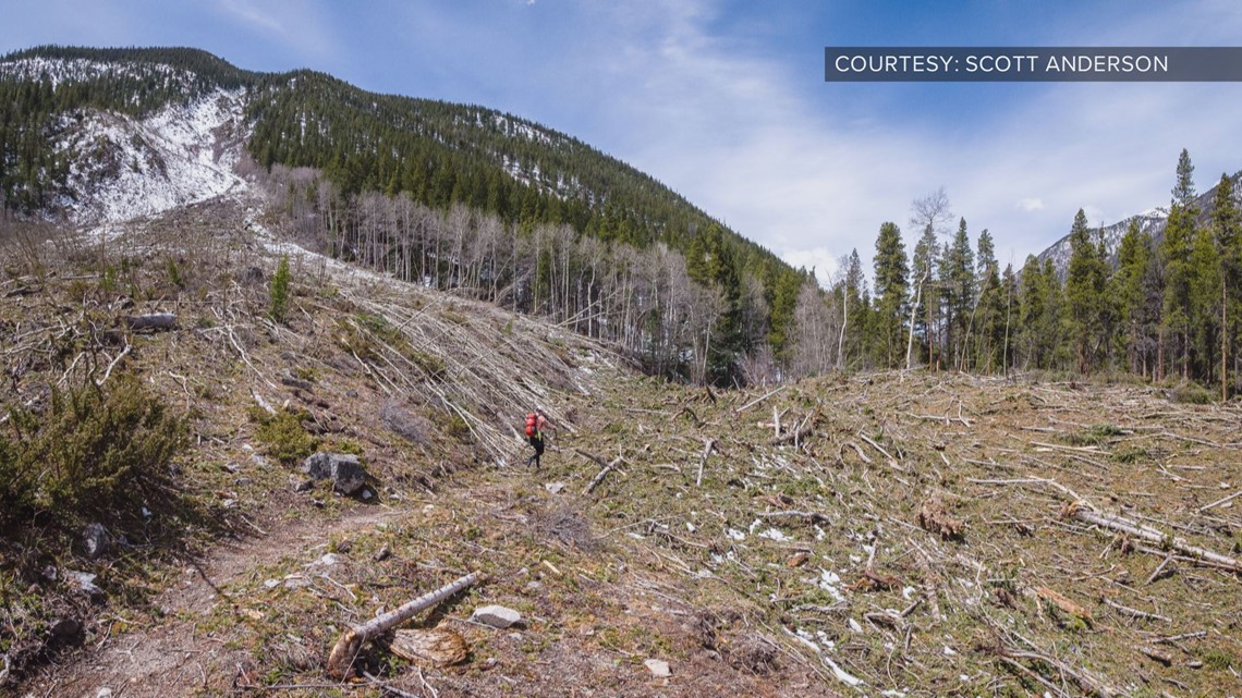 Colorado Trail buried in avalanche debris; as high as 60 feet of broken ...