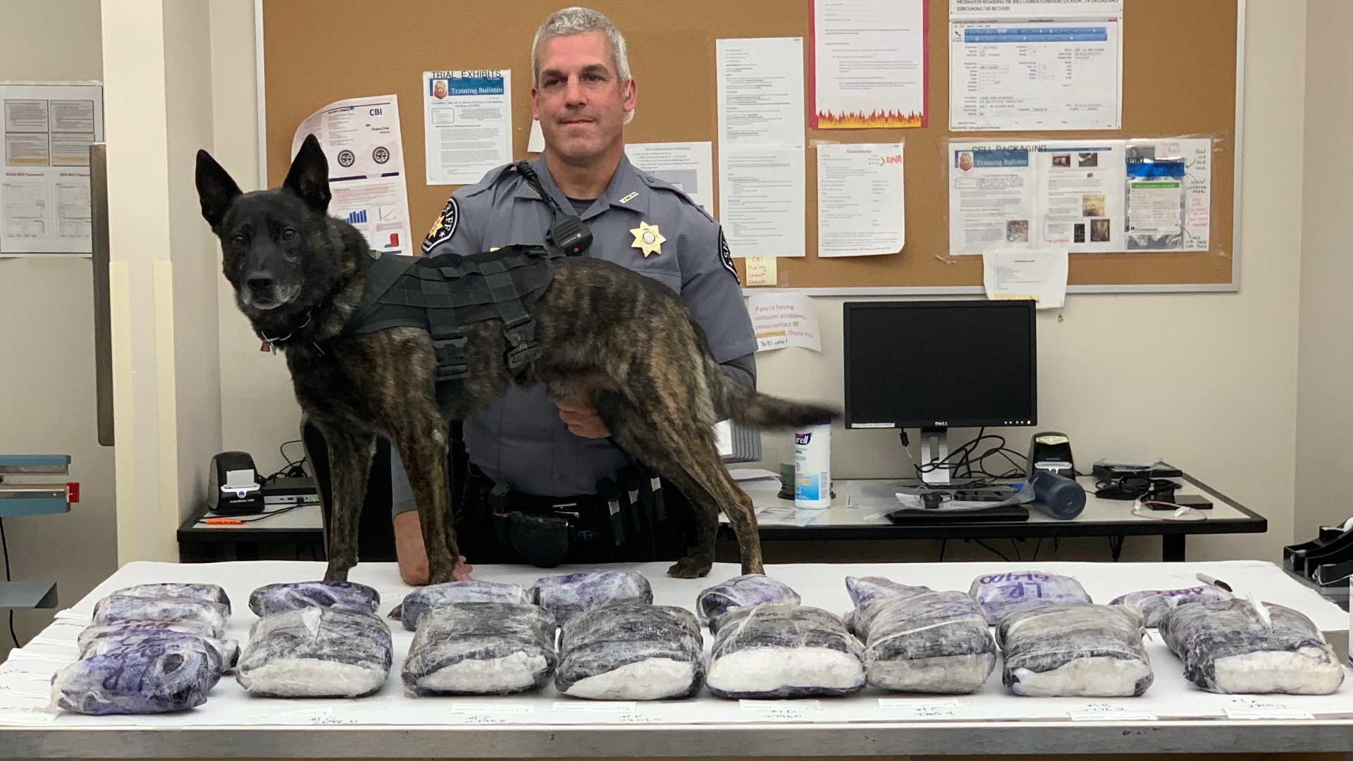 Weld County deputies found $500,000 worth of meth in truck | 9news.com