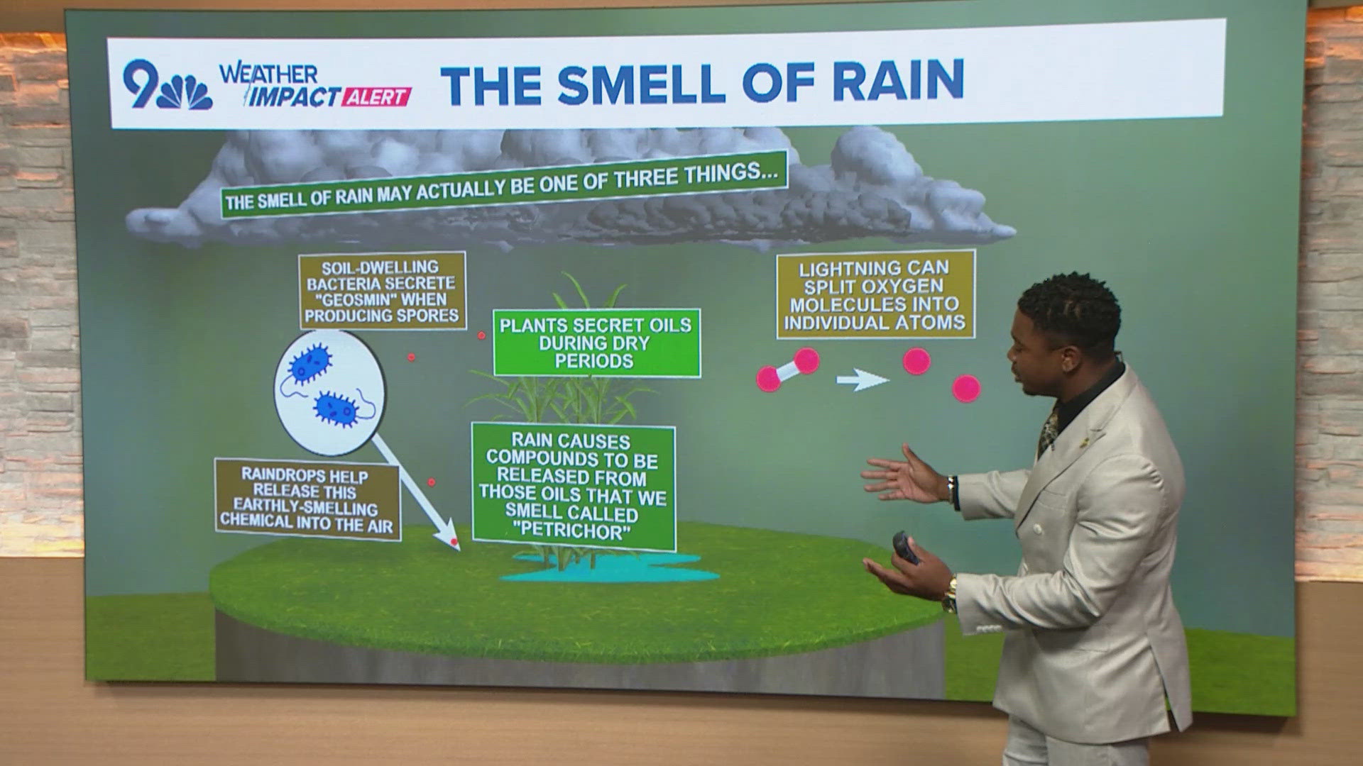 What causes the smell of rain? | 9news.com