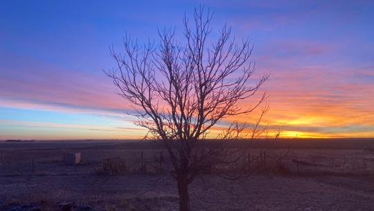 11 photos of the pretty Colorado sunrise on Monday, Feb. 1, 2021 ...