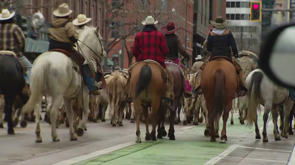 Downtown Denver parade kicks off National Western Stock Show's 120th ...
