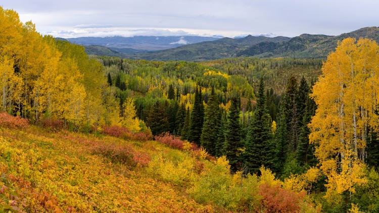 9 hikes to see fall colors, changing leaves in Colorado | 9news.com