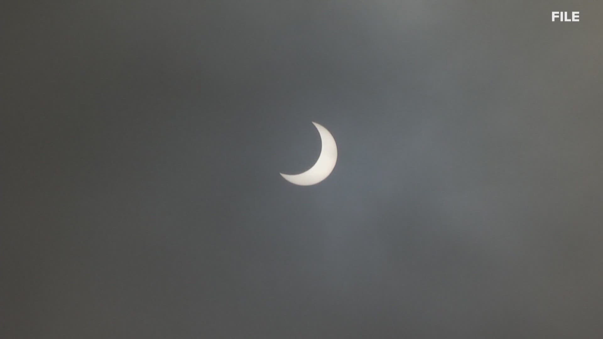 Researchers will look at animal behavior during eclipse | 9news.com