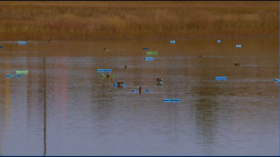 Solving the mystery of the Duck Lake debris | 9news.com