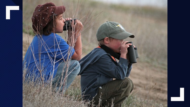 PHOTOS | Mountain Plover Festival in Karval, Colorado | 9news.com