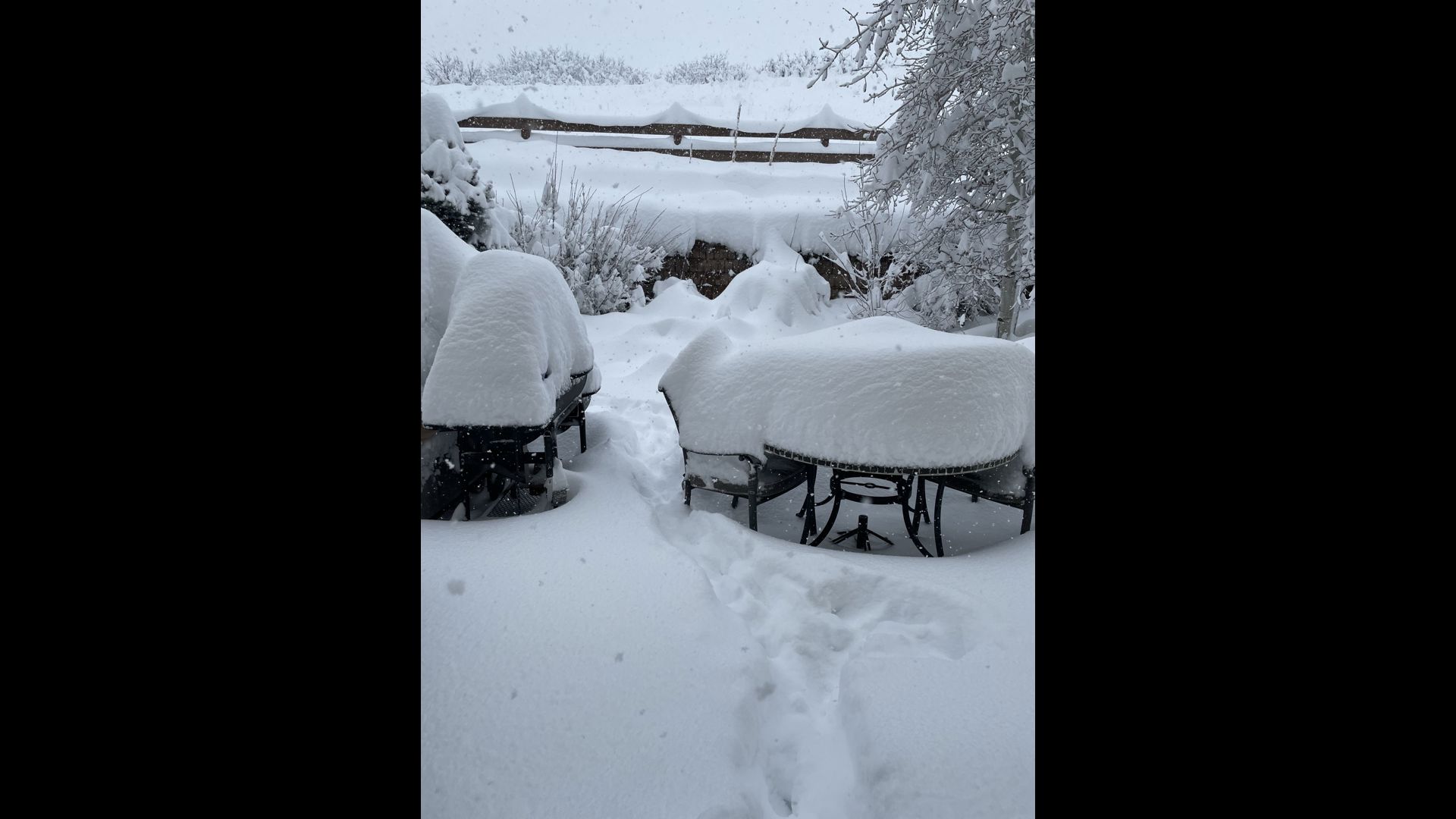 Snow totals: Here's how much snow Denver and Colorado have gotten ...