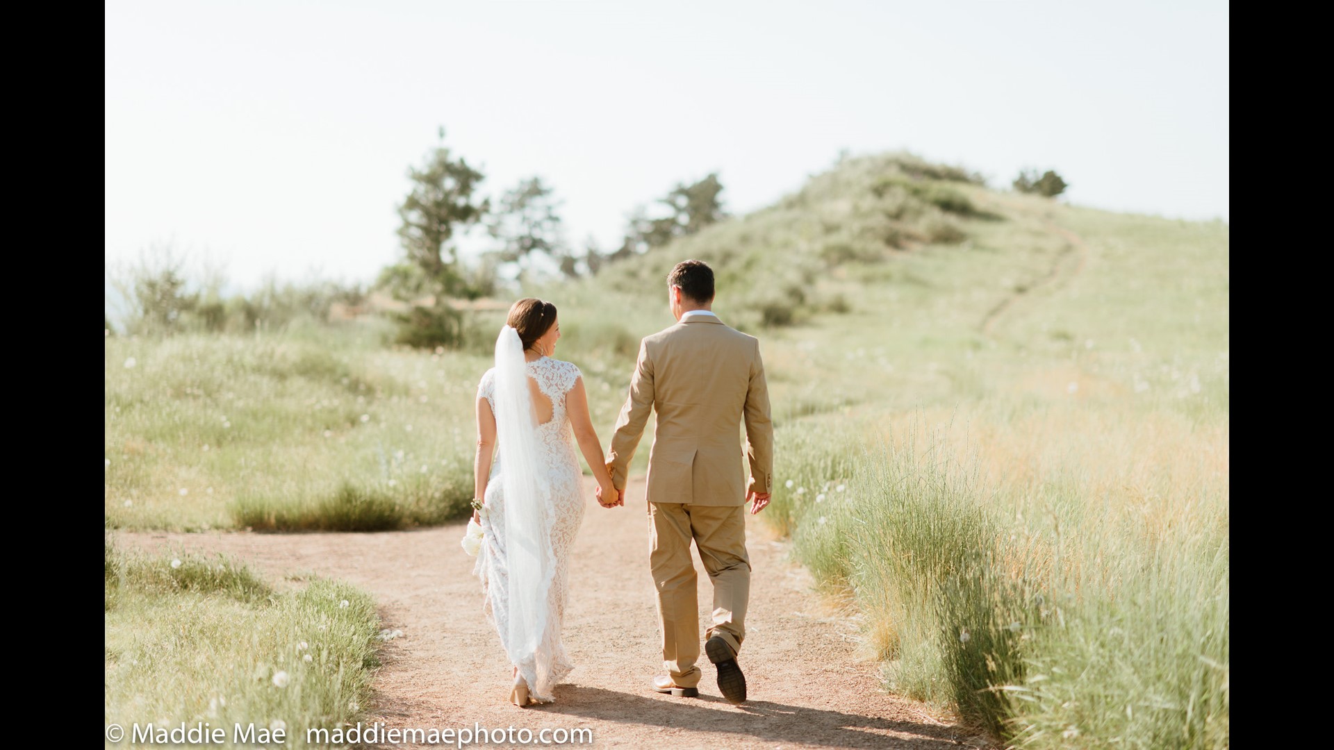 Wedding photographer captures aftermath of Fort Collins groom bit by ...