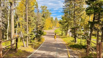 Fall leaves in Colorado: Guide to changing colors in 2024 | 9news.com