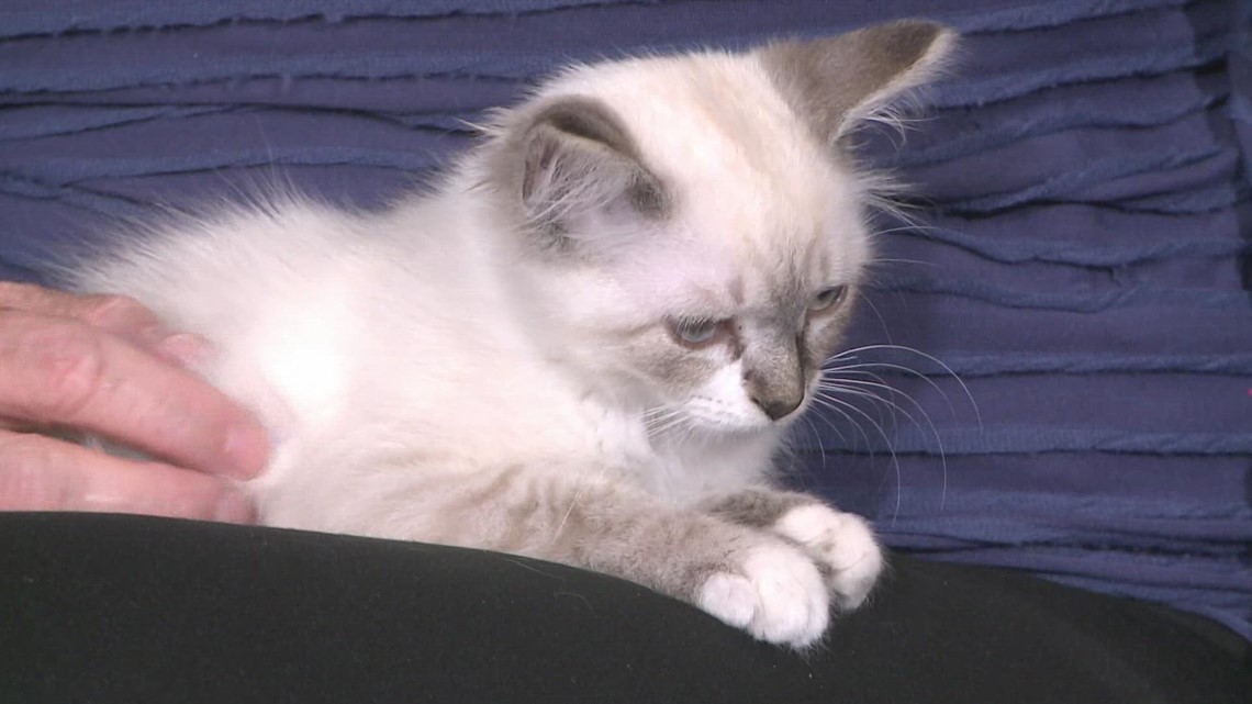 2 arrested in death of Chris Dickerson in Greeley | 9news.com