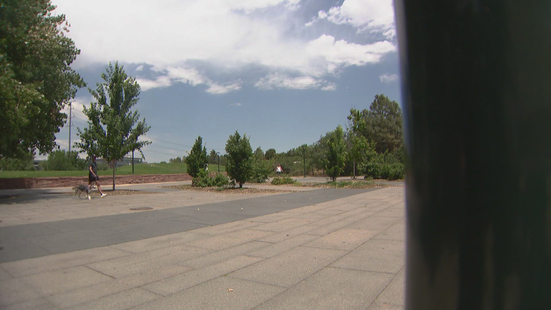 Man with machete chases people in Denver park | 9news.com