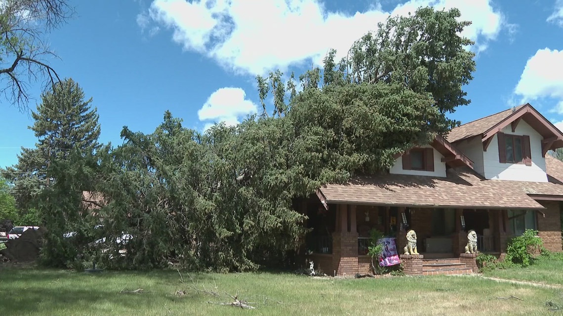 2023 Bolder Boulder course map, location, start time | 9news.com