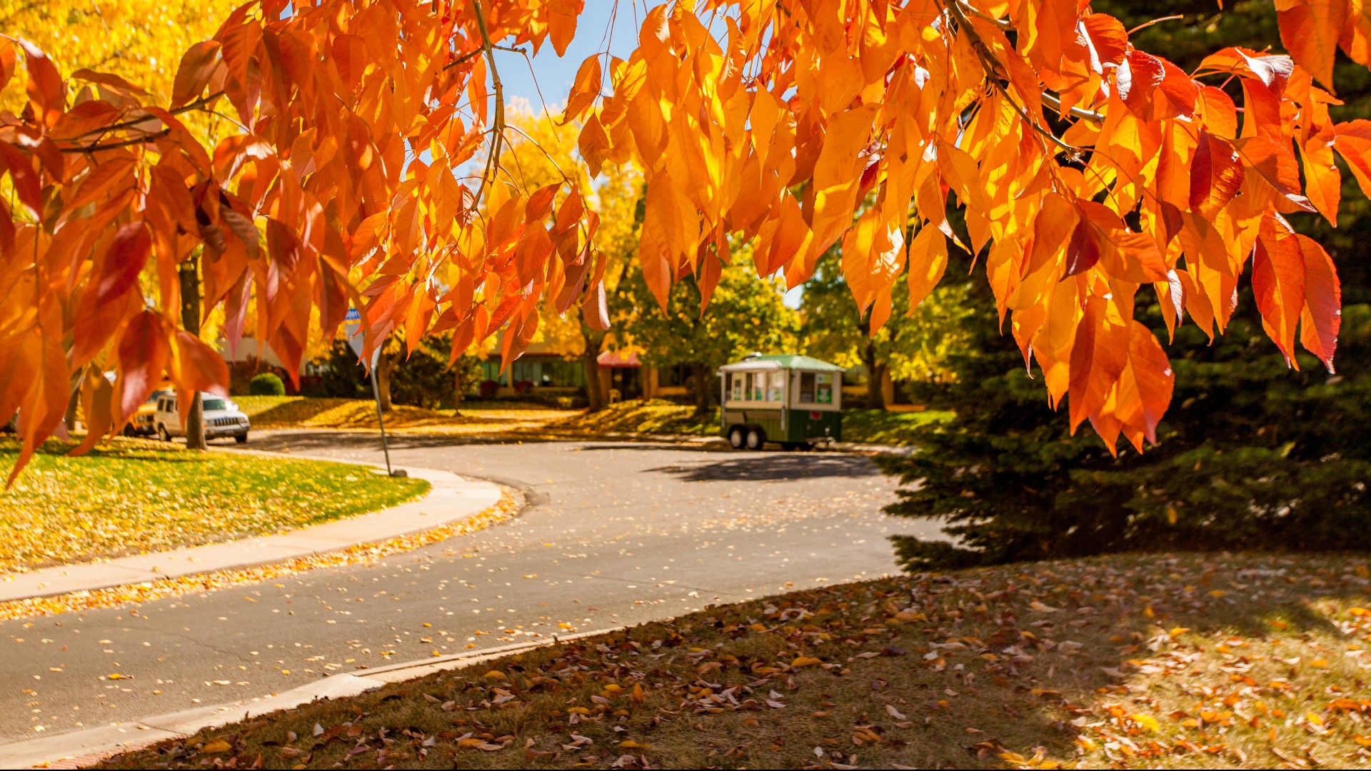 Colorado fall colors: When and where leaves will peak in 2020 | 9news.com