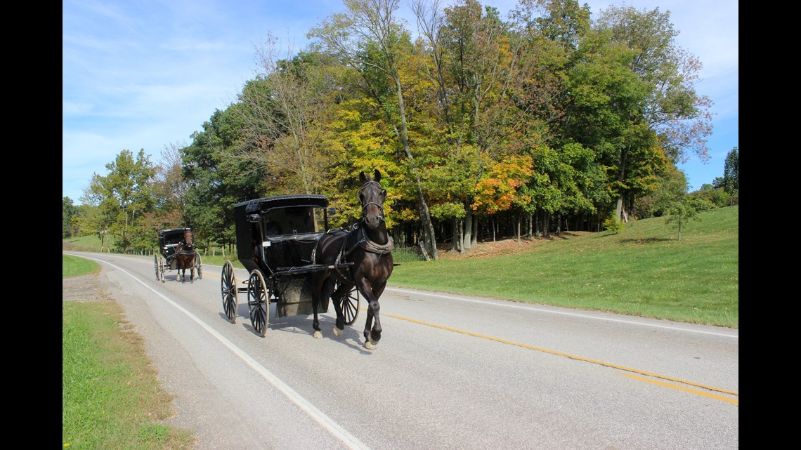 Police raid Amish party in Ohio field, arrest 73 people | 9news.com