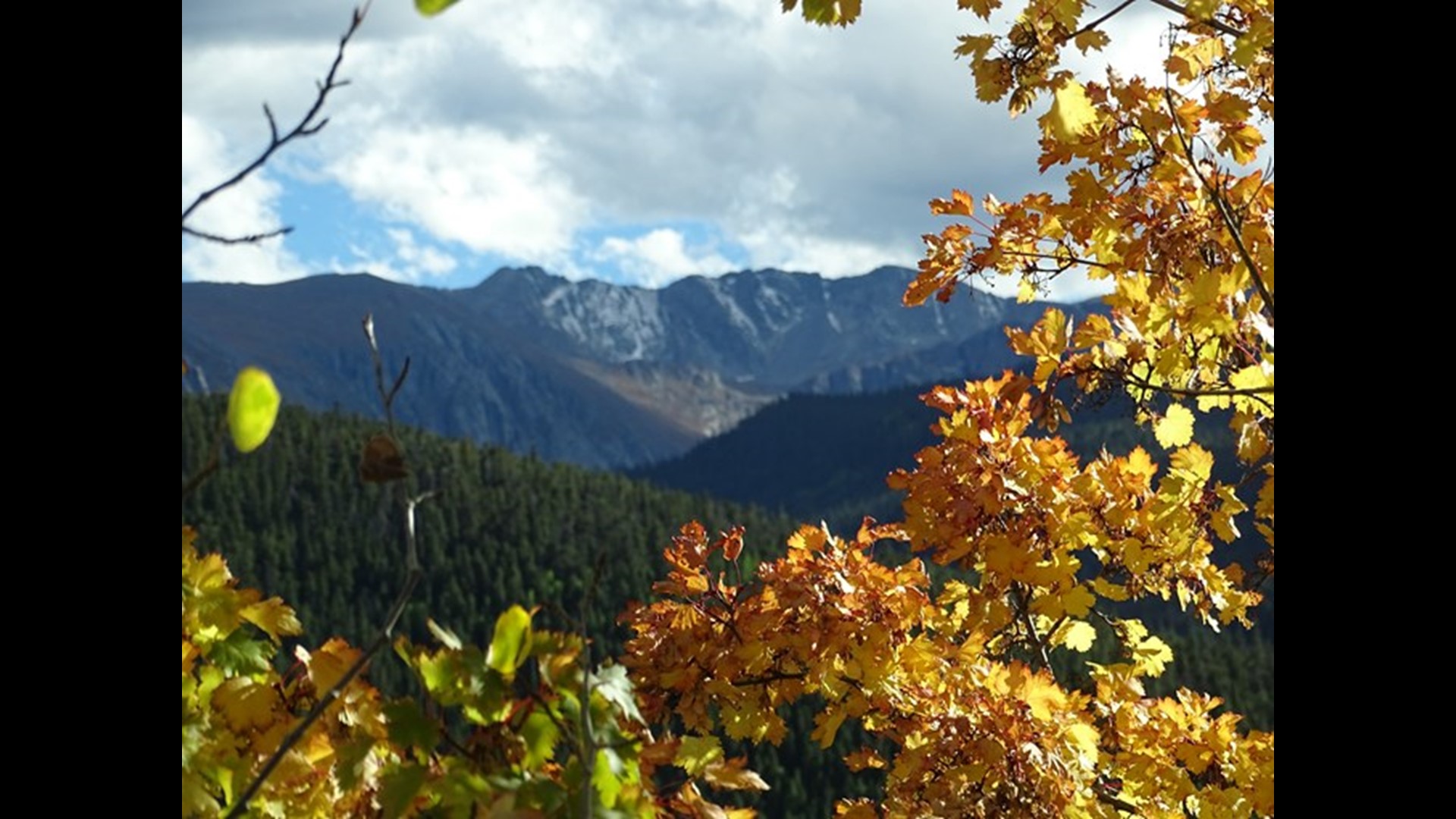 Show off your best fall color photos | 9news.com