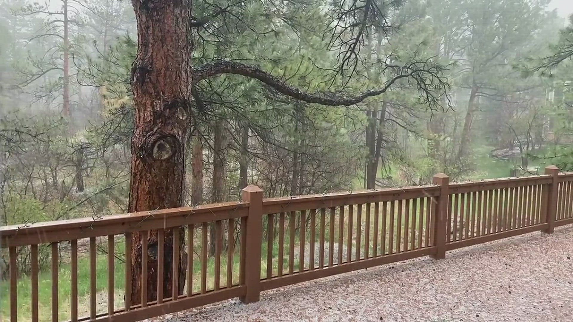 Hail reports: How big the hail was in Denver, Colorado plains | 9news.com