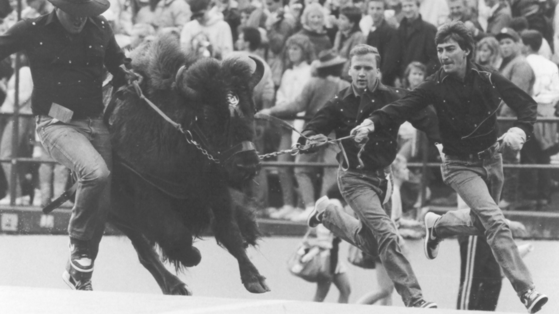 CU Buffs debut new Folsom Field stadium sound system for 2022 | 9news.com
