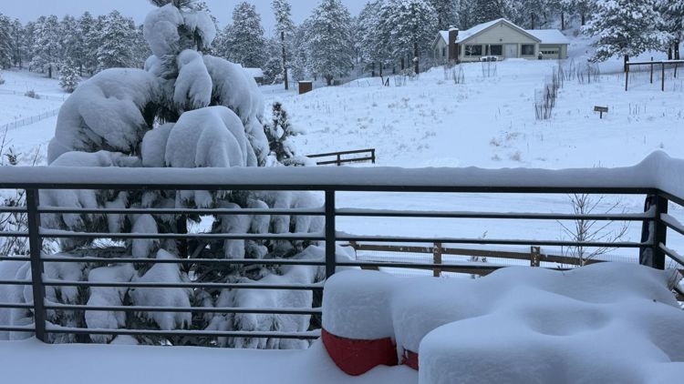 Colorado snow totals: How much fell Feb. 20-21 snowstorm in Denver metro area | 9news.com