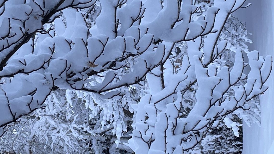 Millions of Americans are struggling to cope with the fallout | 9news.com