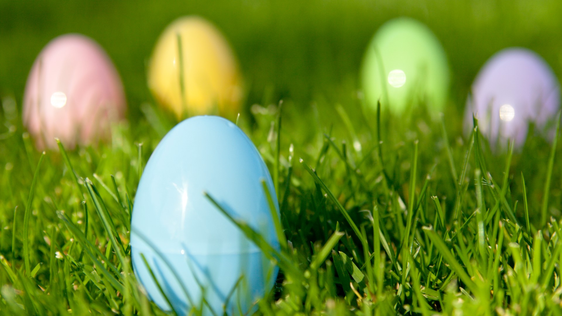 Easter egg hunts in Denver and Colorado in 2019 | 9news.com