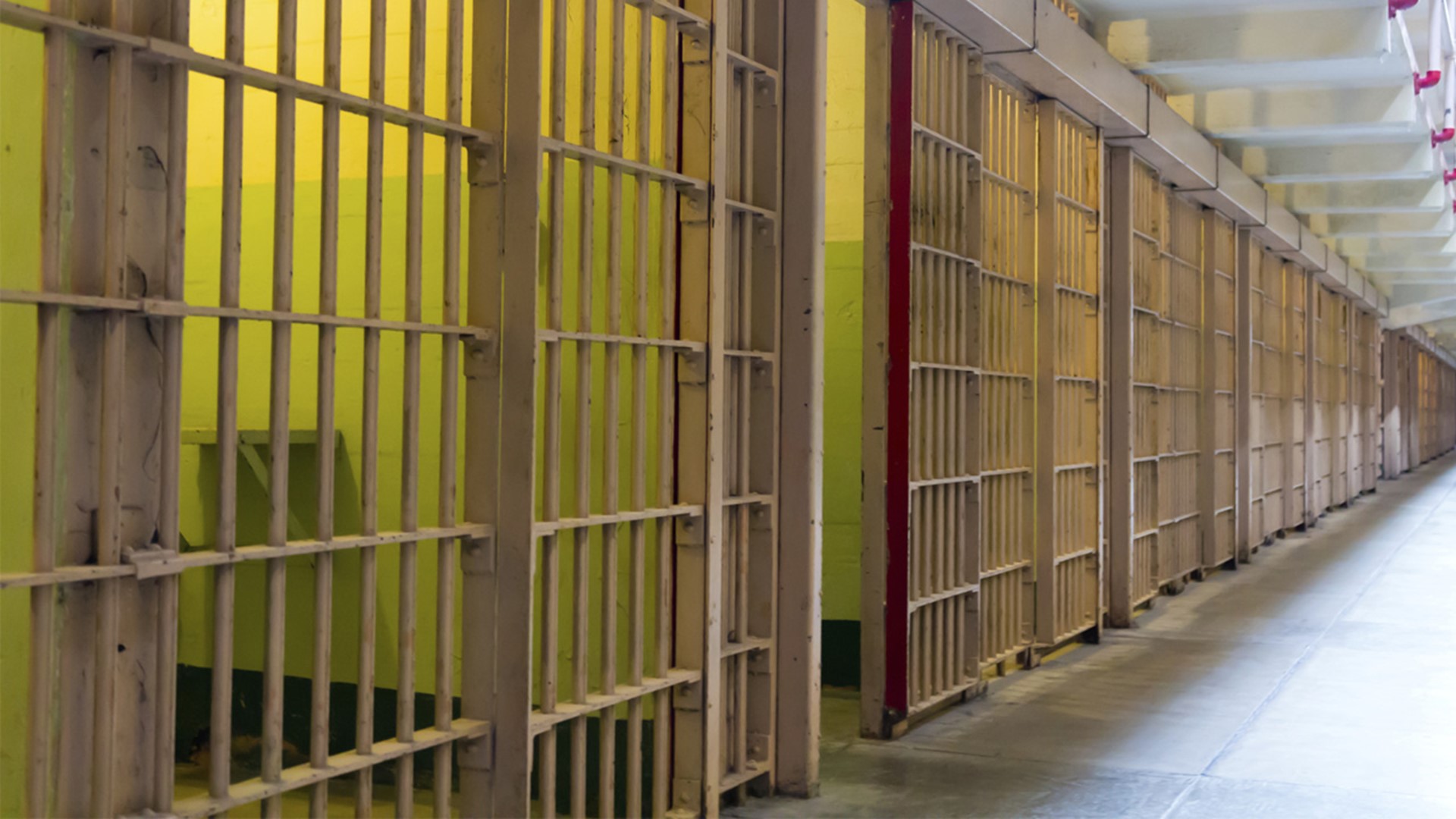 Highlands Ranch murder suspect found dead in jail cell | 9news.com