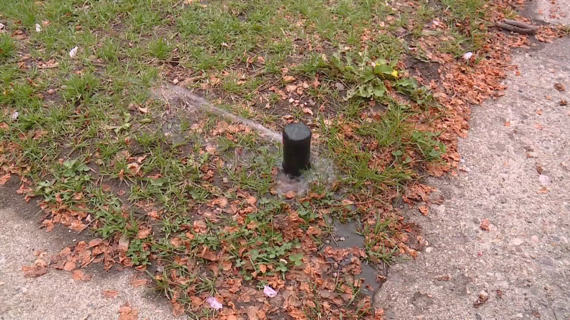Denver Parks and Recreation rolls out water-wise plan during Stage 1 ...