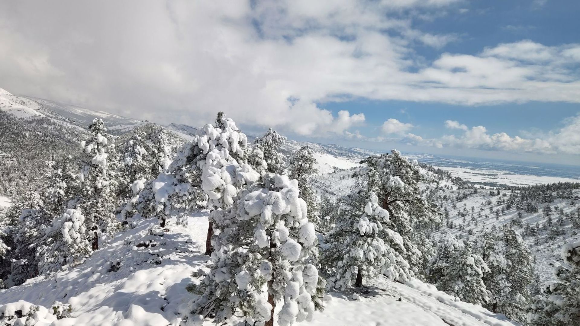 Colorado snow totals: How much fell in the Nov. 29 snowstorm | 9news.com