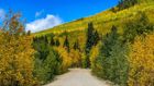 Colorado fall colors guide: When and where leaves peak in 2021 | 9news.com