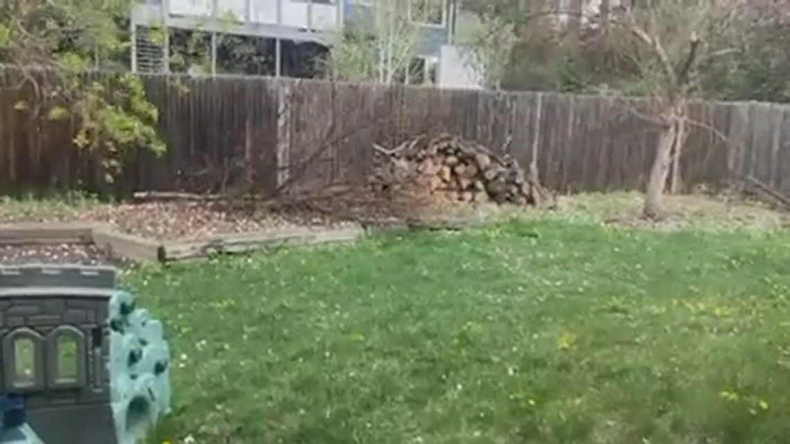 Hail reports: How big the hail was in Denver, Colorado plains | 9news.com