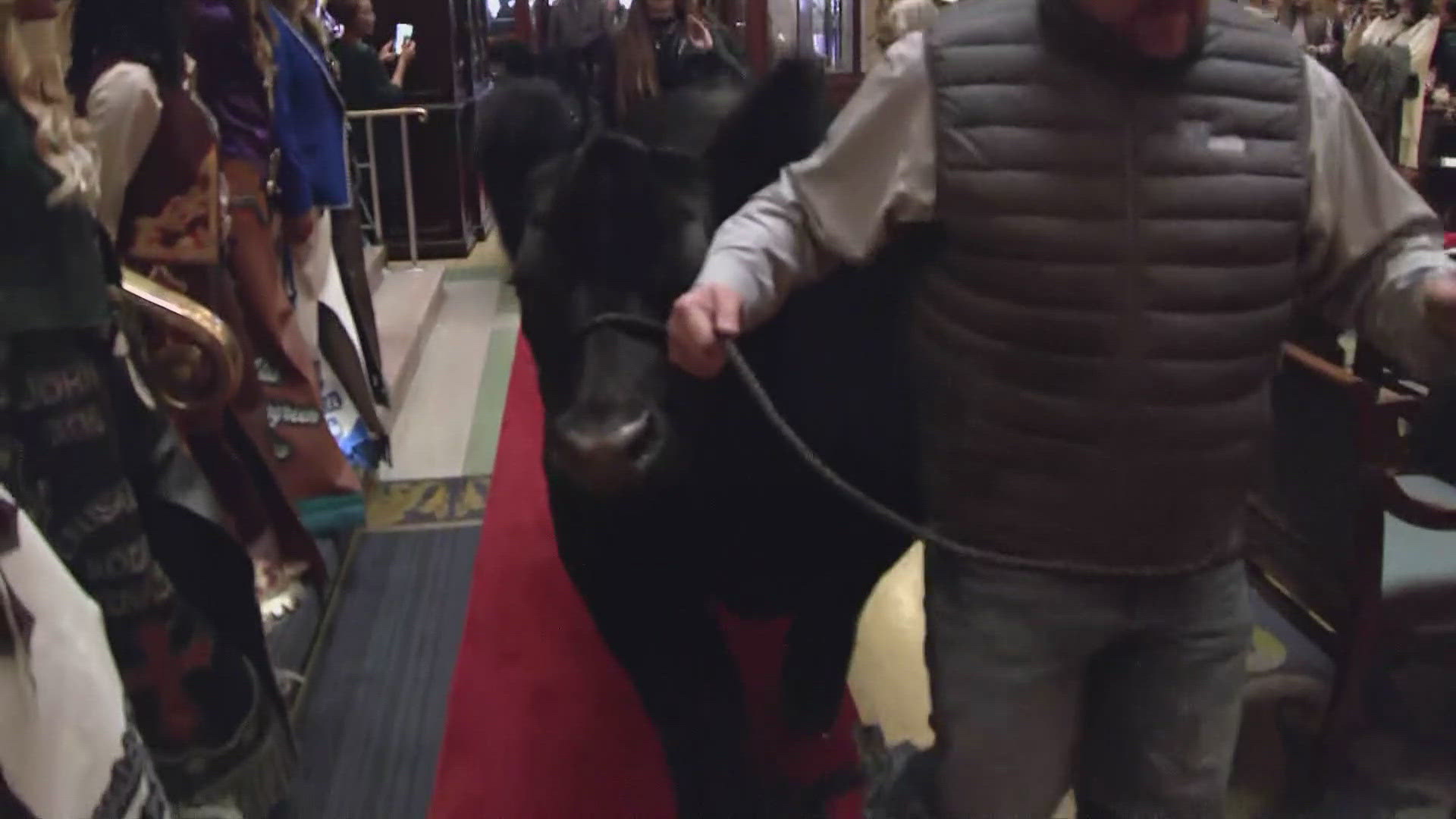 Denver approves $12.7M bridge to boost connectivity at National Western ...