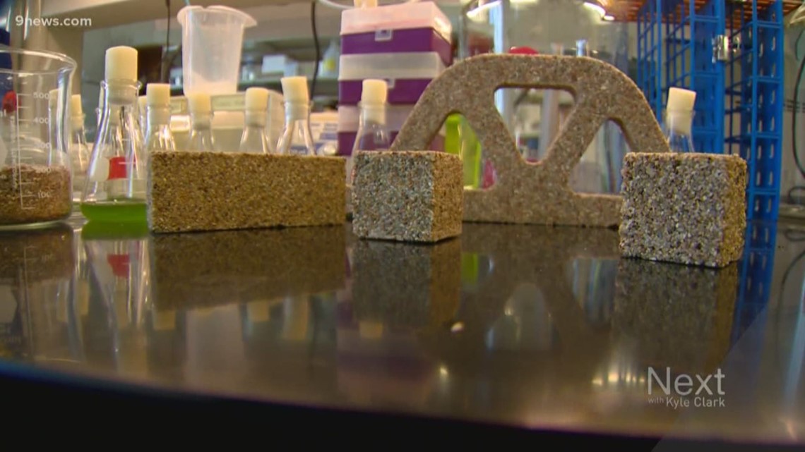 Bacteria bricks? Bacteria that grow into bricks being researched at CU ...