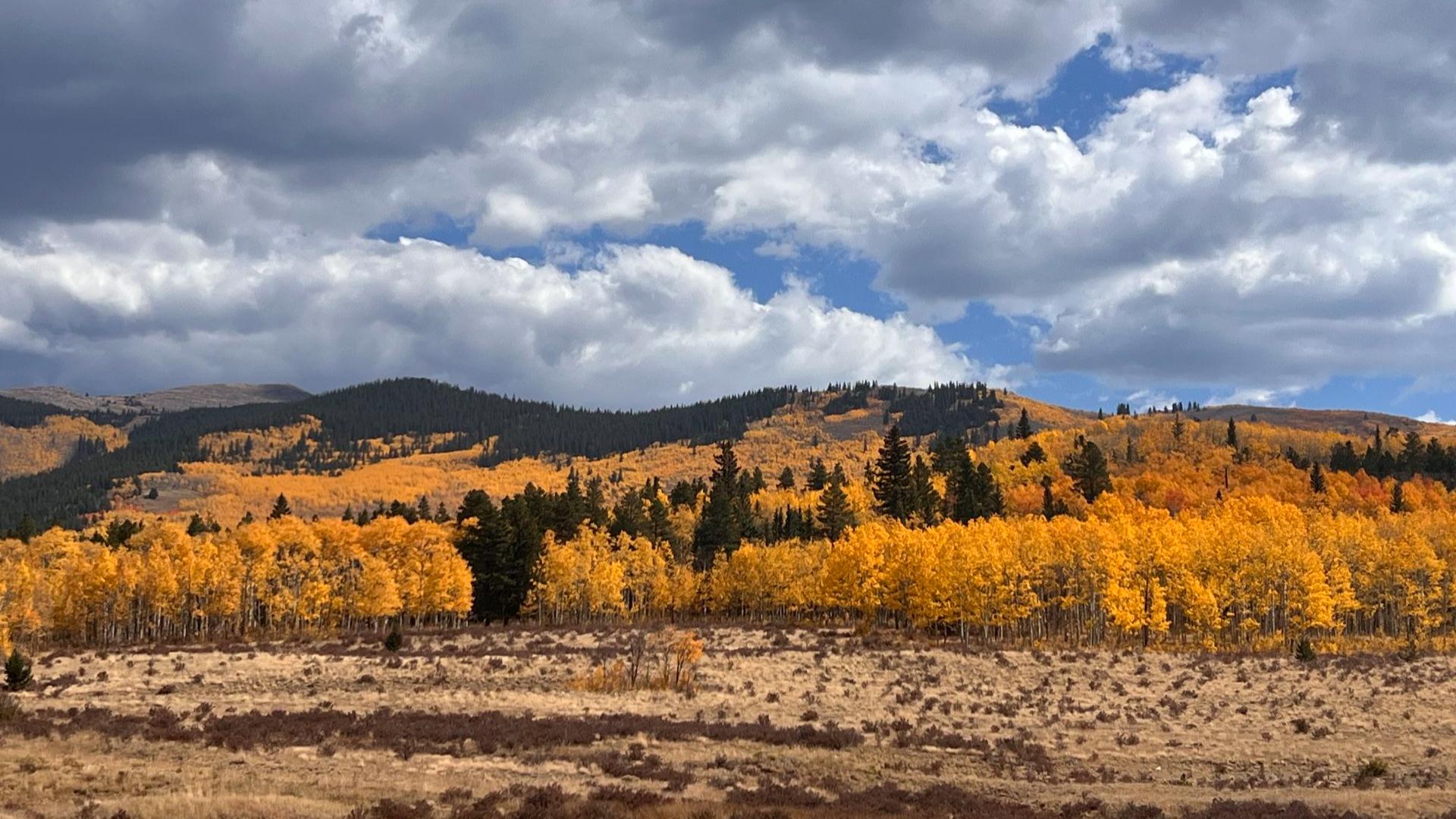 Colorado fall colors arrive early amid drought conditions: 2025 aspen ...